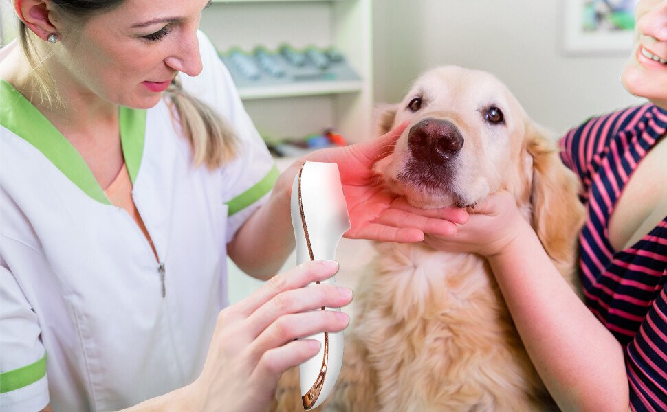 Laser terapeutic profesional, Tratamentul Durerii, Terapie de ...